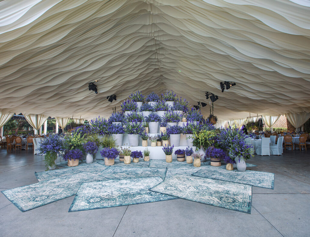 Inicio - Lago del rey